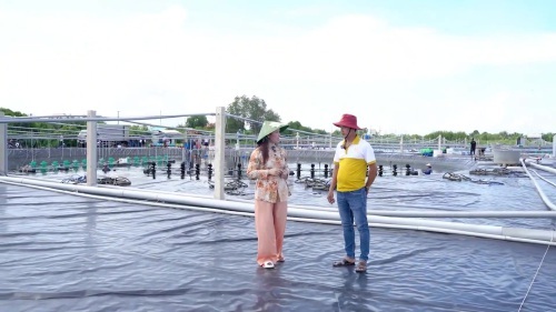 为什么用完二氧化氯不容易导致亚盐升高?但戊二醛就会?