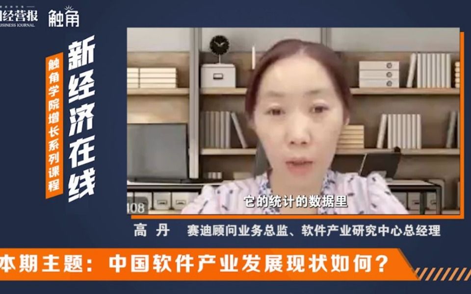 中国软件产业目前的现状?