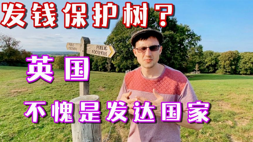 英国乡下是如何保护树木的?给农民补贴!比砍树种地收成还高