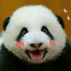 忘羡不忘 