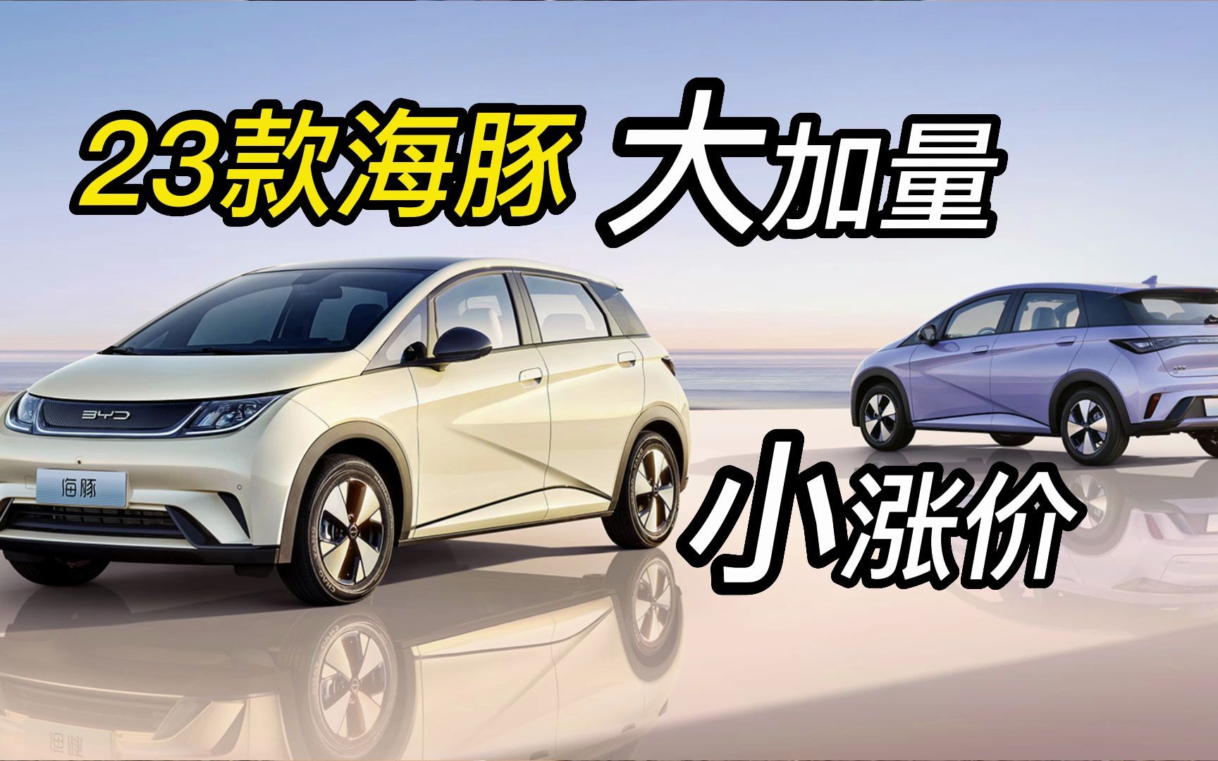 2023款海豚,大幅加量,小幅涨价,这样的海豚你满意吗?