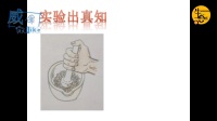 (川师生科)生物多媒体教学视频