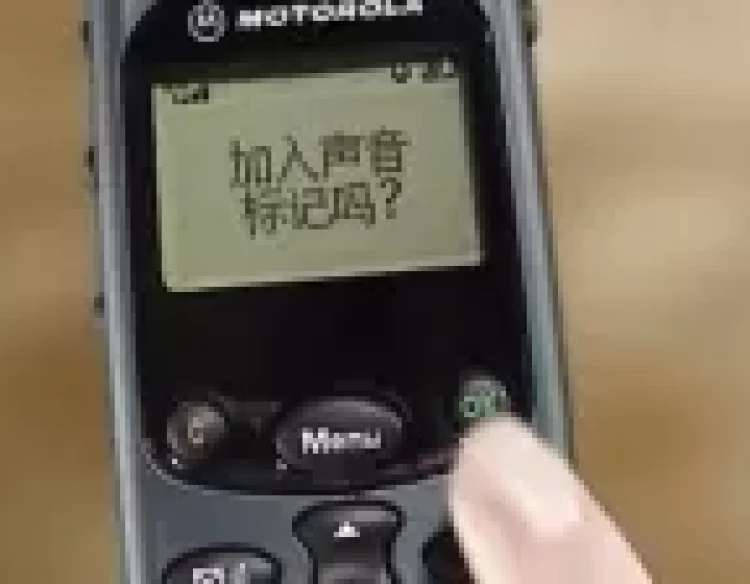 摩托罗拉L2000手机使用演示