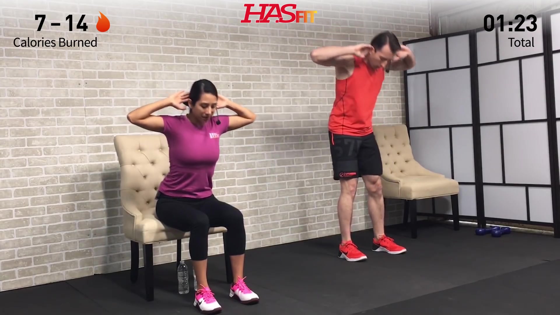 30分钟家中老年人肥胖者站立或坐着锻炼