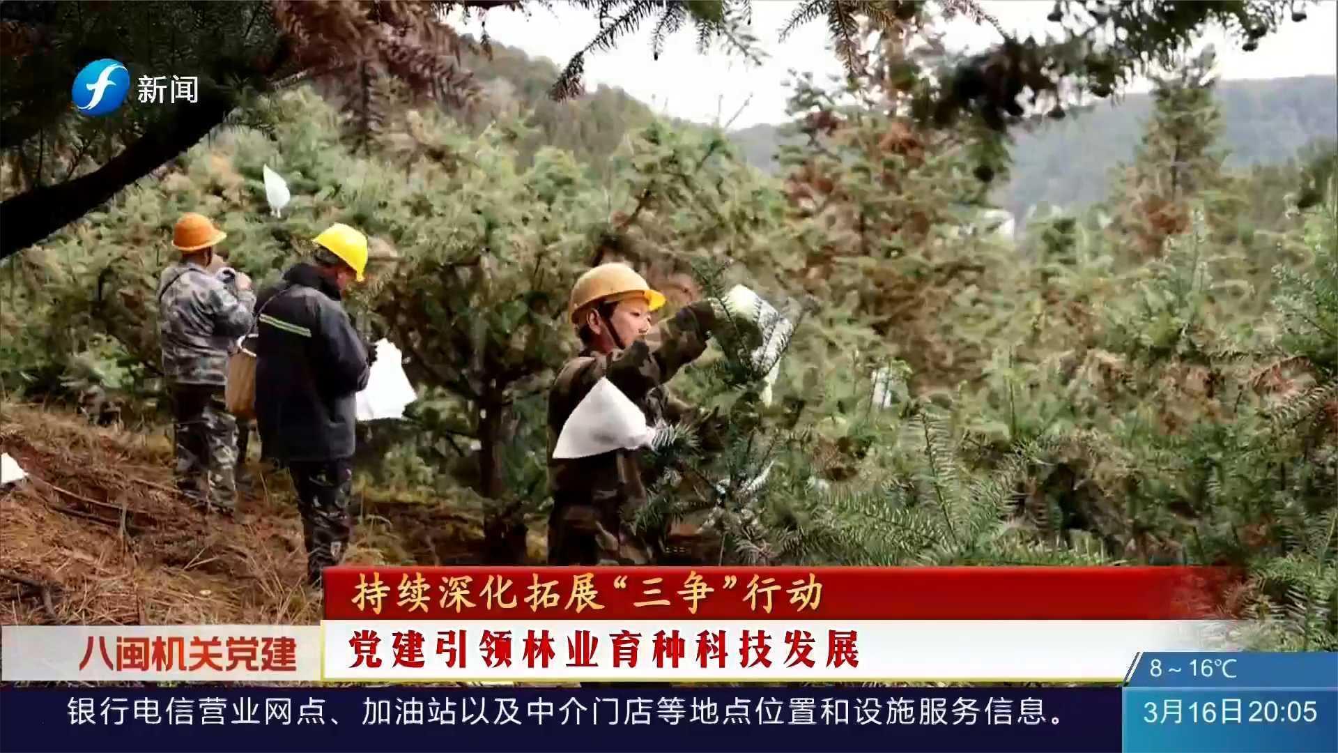 省洋口国有林场党委:党建引领林业育种科技发展