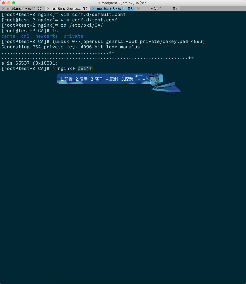 Nginx+SSL配置https