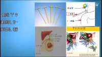 T管护理注意事项