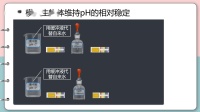 选择性必修3-1.2.4模拟生物体维持pH稳定