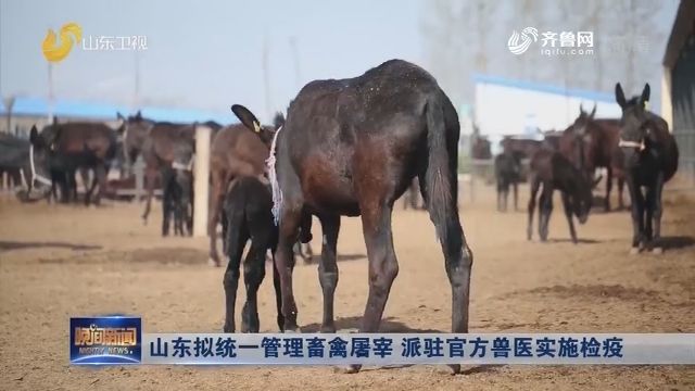 山东拟统一管理畜禽屠宰,派驻官方兽医检疫,保障群众吃上放心肉