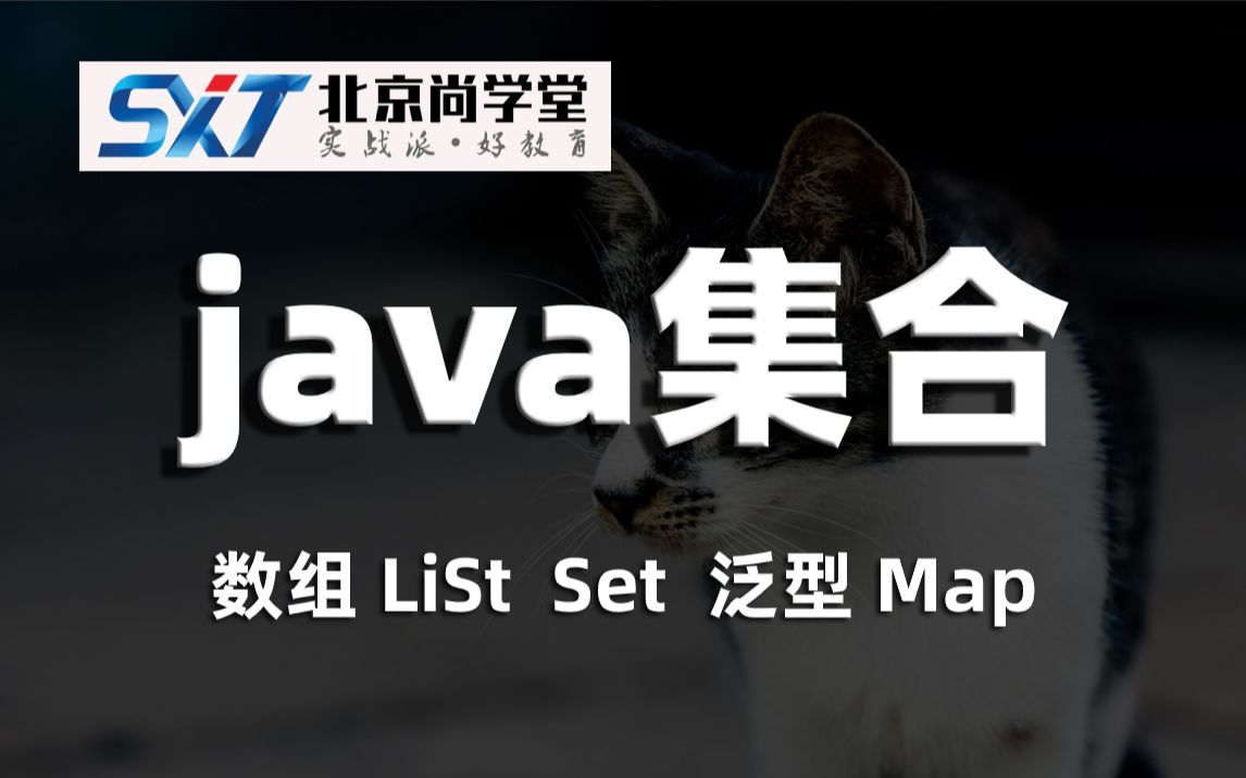 java集合_List_Set_Map_尚学堂教程