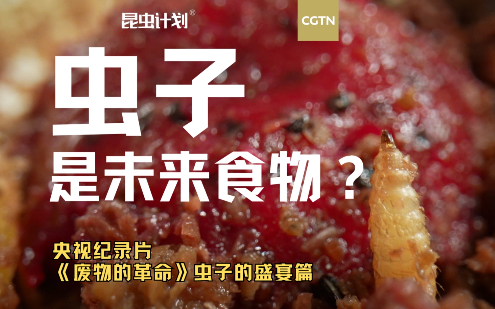 【央视纪录片】《雪国列车》的蟑螂蛋白块即将成为现实?中农毕业,干...