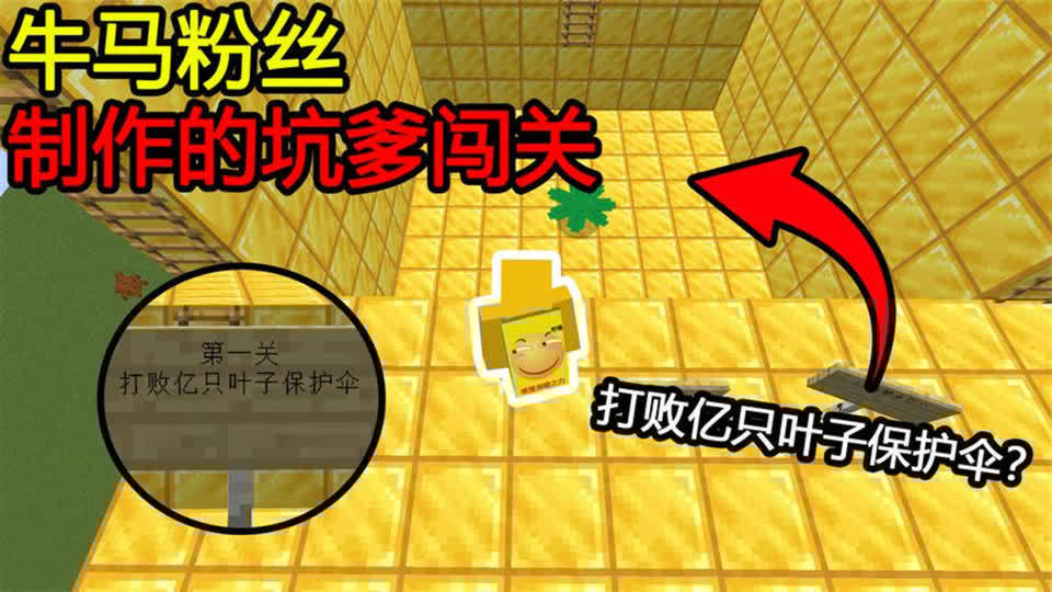 我的世界:第一关打败亿只叶子保护伞?这么多!都成草地了!