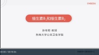维生素B1和维生素B2