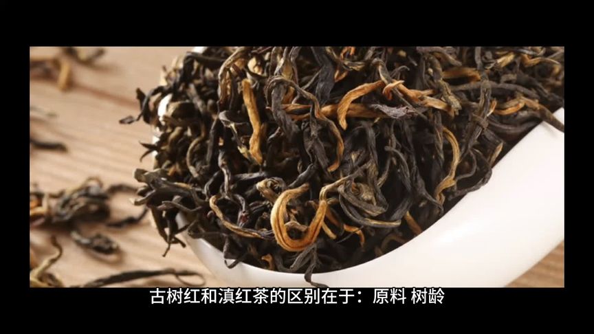 #普洱茶 #古树红茶#滇红 古树红茶和滇红茶的区别?
