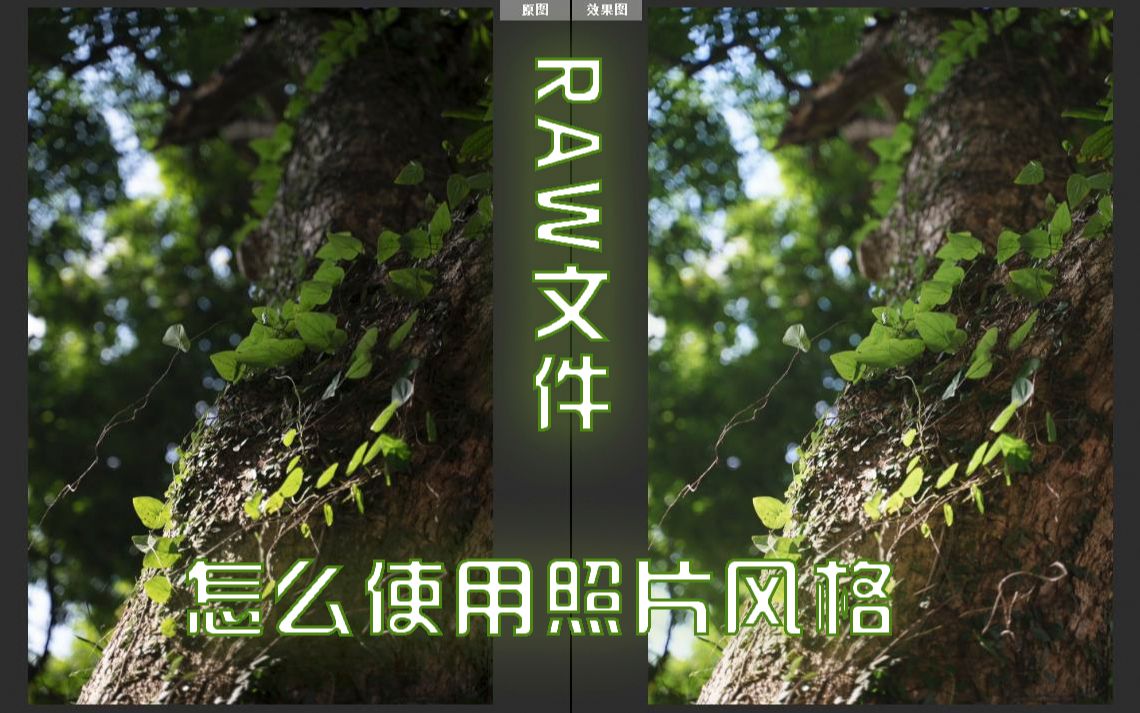 【创意外观】RAW文件怎么使用机内的创意风格|索尼A7M4|A7S3|A1