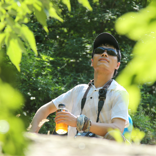 我是海帆 