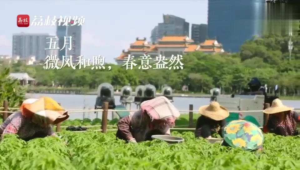 平凡亦不凡,微光汇星海,向劳动者致敬!