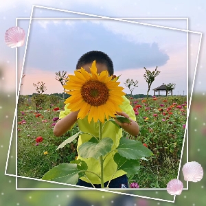 努力小龙哥 