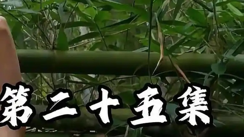荒野建造 第二十五集 小美篇 (完整版) 小美的荒野大型连续剧第一部