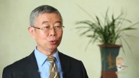 中华医药 白桦茸生长15年以上才有药食两用功效
