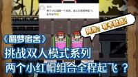 躺平发育:挑战双人模式系列全程起飞?