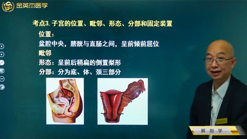 生殖系统02女性生殖系统03子宫:位置、毗邻、分部和固定装置