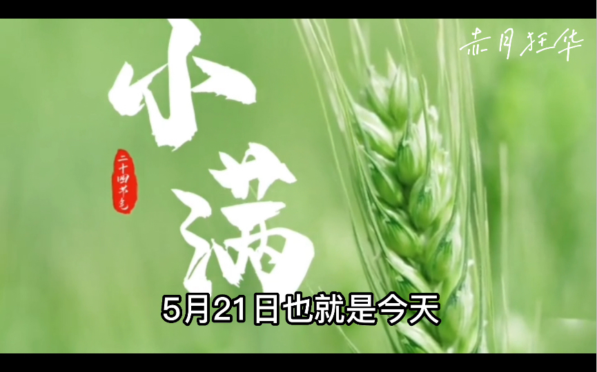 为啥只有小满而没有大满这是人世间哲理不可太过于奢望而应该知足常乐