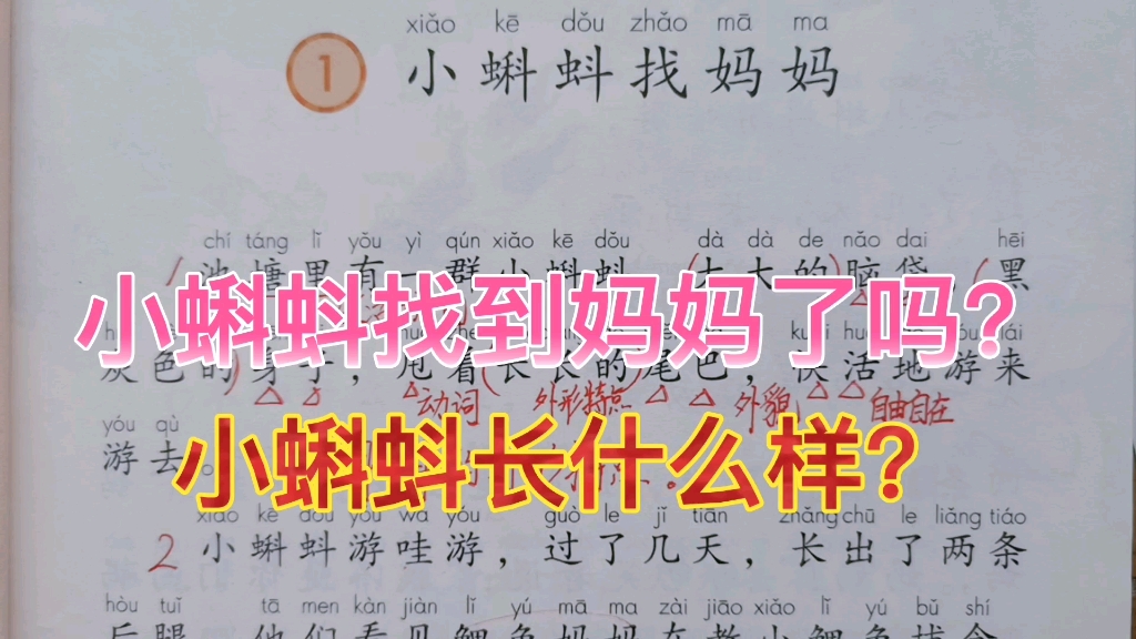 二年级上册《小蝌蚪找妈妈》，第一段课文学习，在家就这样学习哦