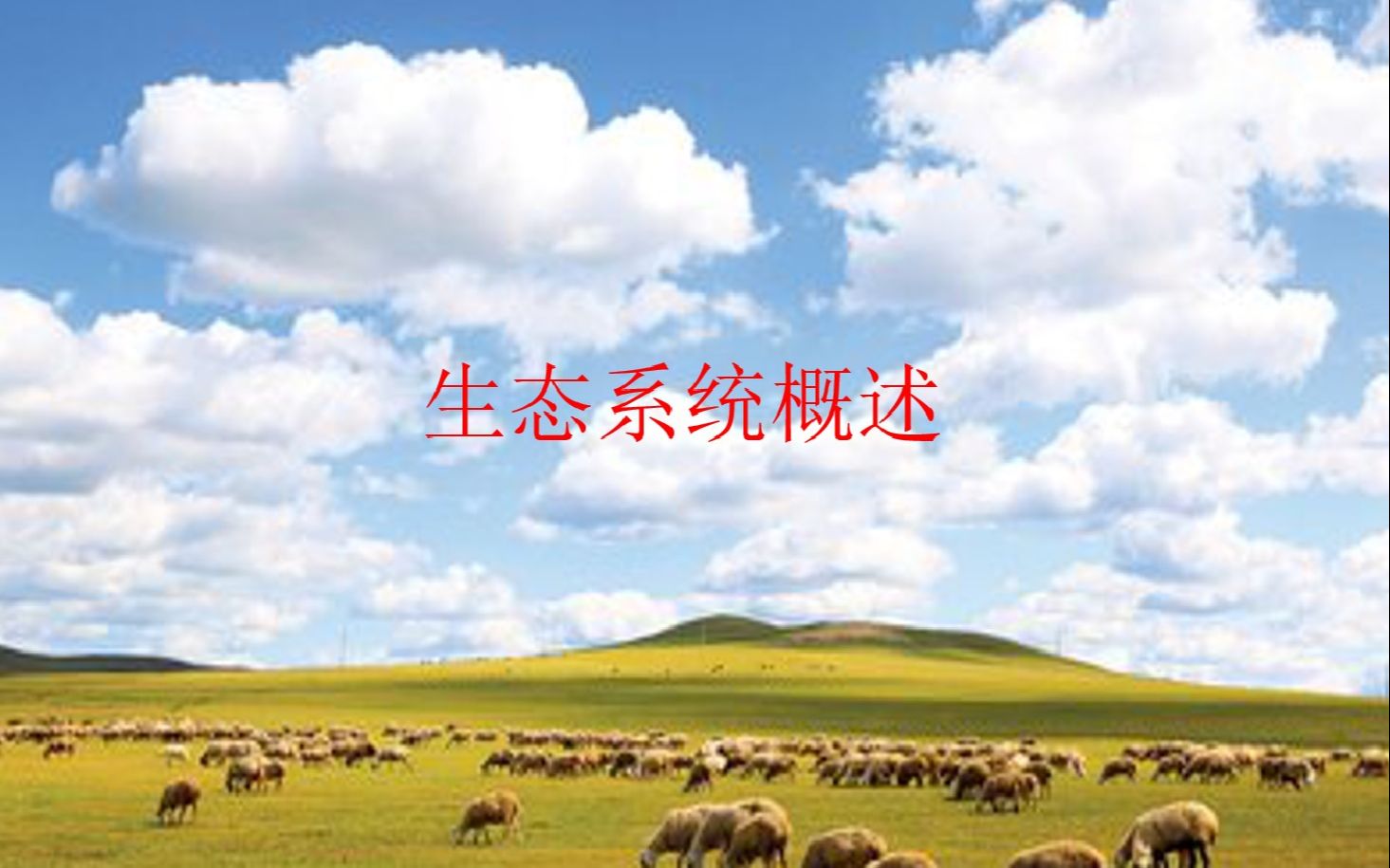 北师大生物 八年级下册《生态系统概述》