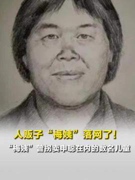 "梅姨"现身并落网!对贩卖儿童事实供认不讳,已被依法逮捕