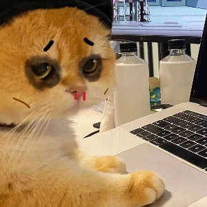 疯癫到世界奔溃 