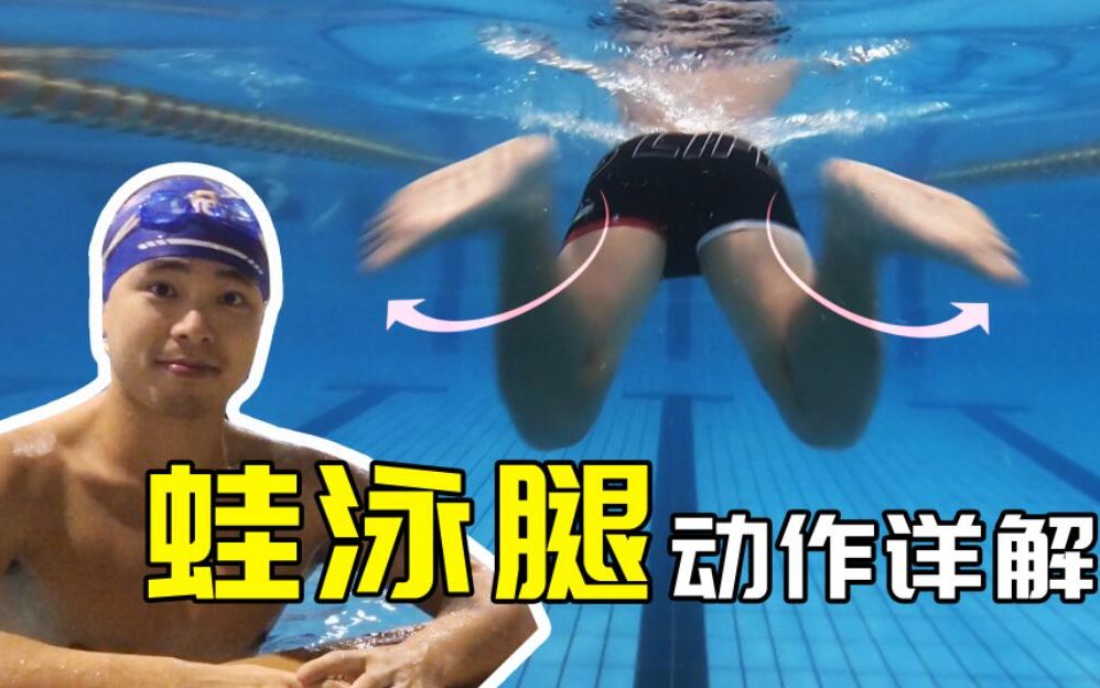 水下高清解析,蛙泳腿动作讲解—K爷游泳课