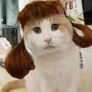 赵不知的胡思乱想 