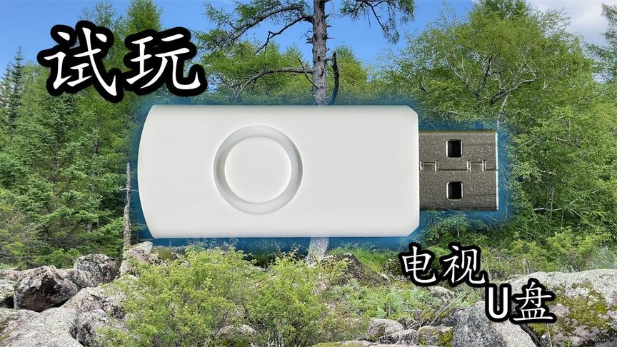 网购试玩电视U盘 原来就是个带软件的存储器!