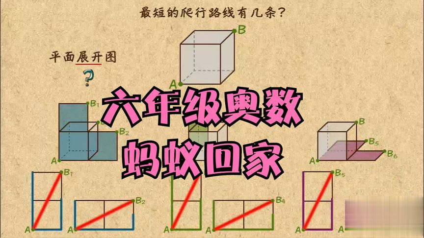 六年级奥数 组合数学之 蚂蚁回家 乐乐课堂 生动有趣的卡通动漫