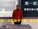二年级数学下册 第一单元 数据收集整理 同步教学 老蒋微课堂