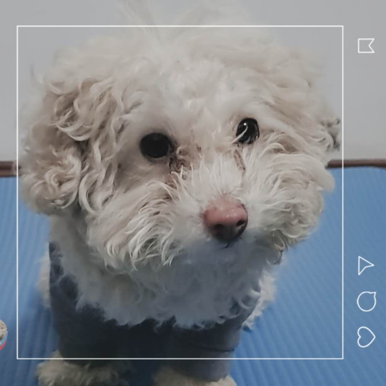 小奈的热游直播时间 