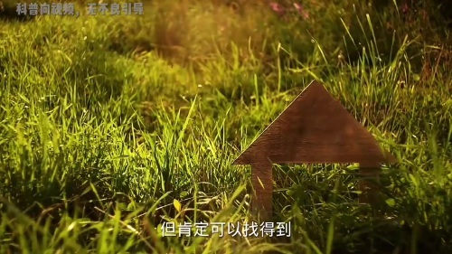 宇宙某个遥远角落,必存在一个长得与你一模一样的人,敢相信吗?