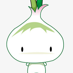 蒜头小新 