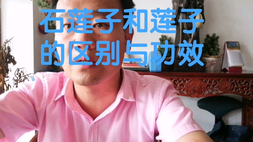 石莲子和莲子的区别与功效