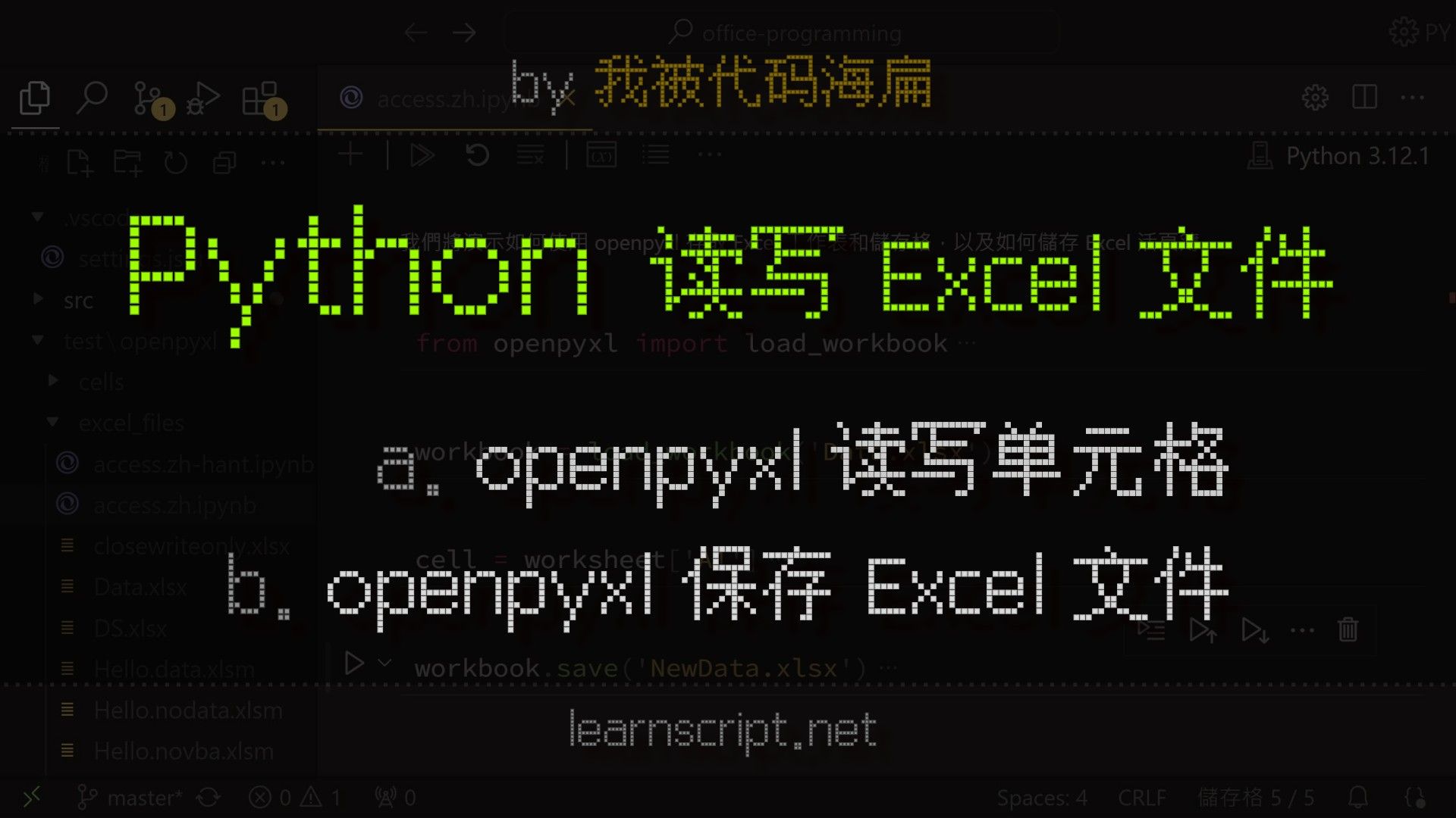 『Excel Python 脚本教程』使用 openpyxl 包读取工作簿的工作表,获取...