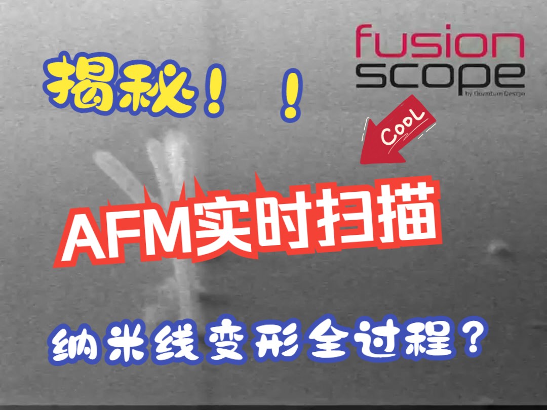 如何可视化记录AFM分析纳米线变形全过程?