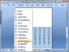 Word2007 31表格1.表格美化.平均分配各行.调整列宽.表格文字环绕....