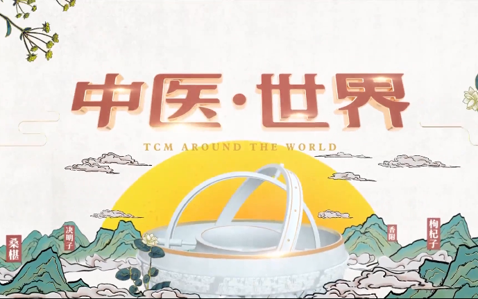 纪录片《中医世界》 全5集 1080P超清