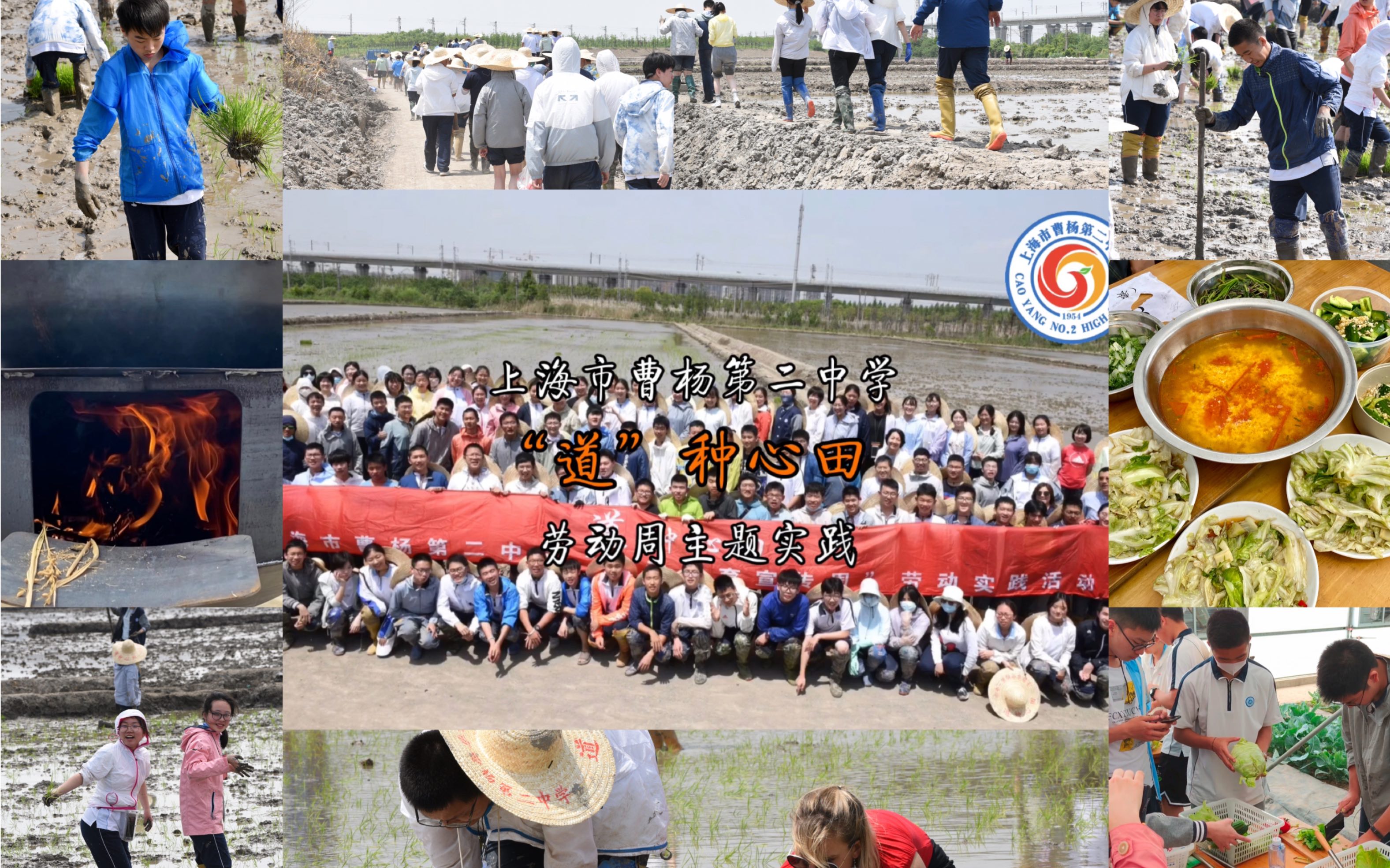【道种心田】|上海市曹杨第二中学|劳动教育周 社会实践活动