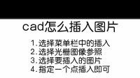 cad2016怎么插入图片