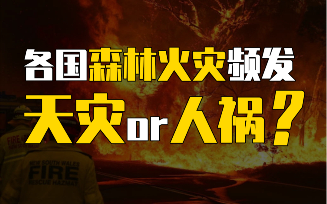 世界森林火灾频发,背后真实原因揭秘!