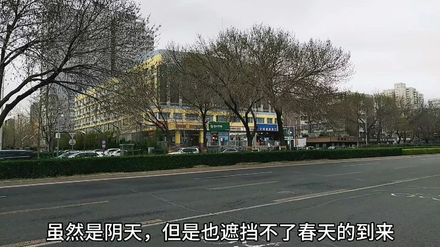 北京大风蓝色预警,北漂小伙穿起了棉衣御寒,这天气还是别出门好