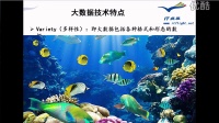 徐彤教程-并行计算技术第0454讲:大数据的技术特点