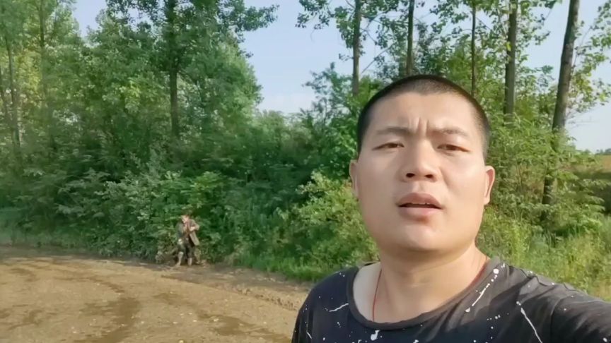 全新的水稻种植方法,省人工又省钱。为什么还都选择传统的插种呢